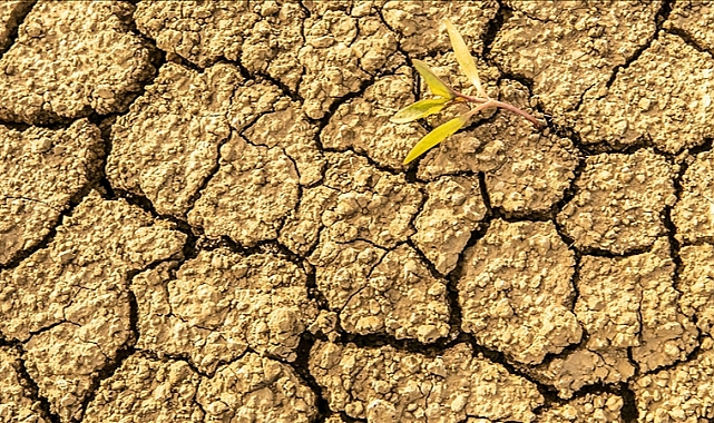 Bitlis'te kuraklık nedeniyle 3 içme suyu kaynağı kurudu - Çevre ve ...